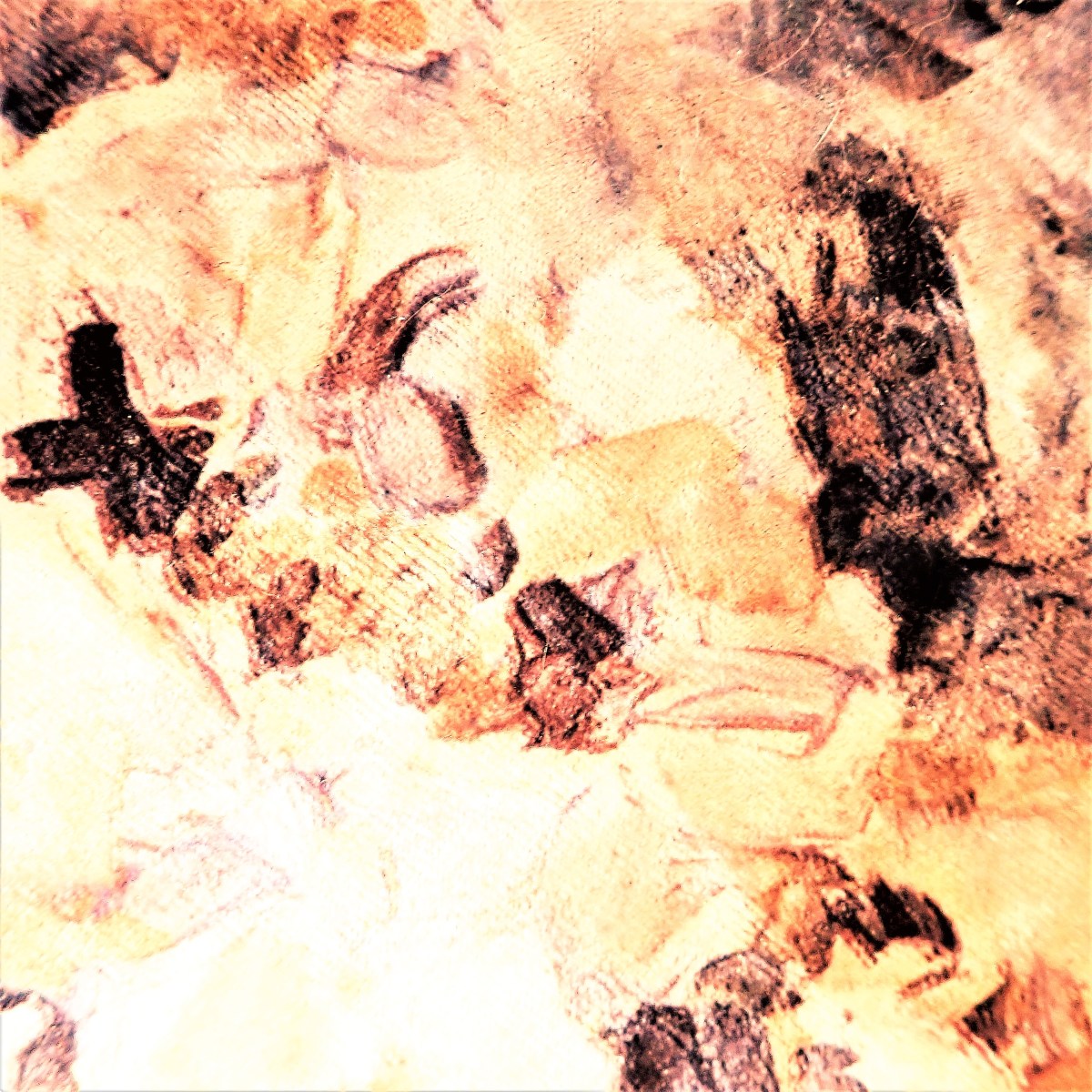 Two Poems by David Hanlon – IceFloe Press