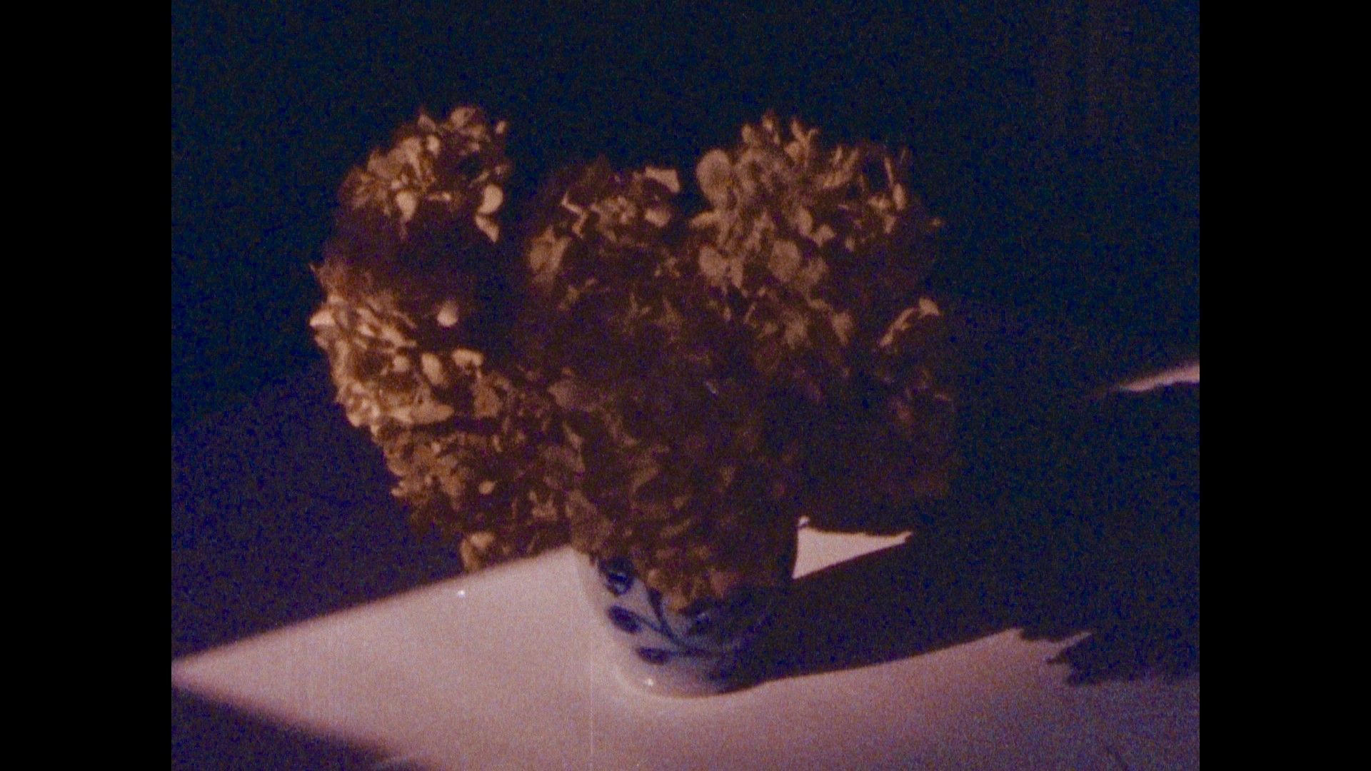 Anchored (for my mother Diane) and Day Residue – A Poem/Photo Hybrid by ...