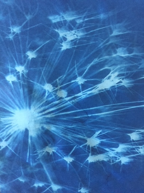 Three Hybrid Poems – L. Kiew – IceFloe Press