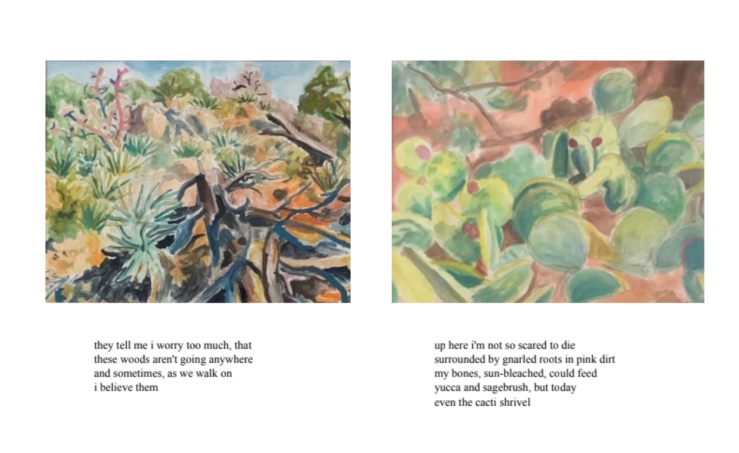 Alexandra Weiss – the last winter, a hybrid – IceFloe Press