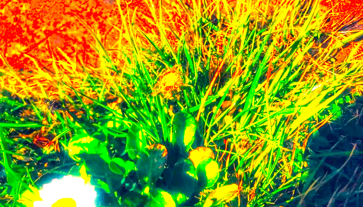 Five Works- Three Poems & Two Vispo-Hybrids by Stephen Sunderland ...