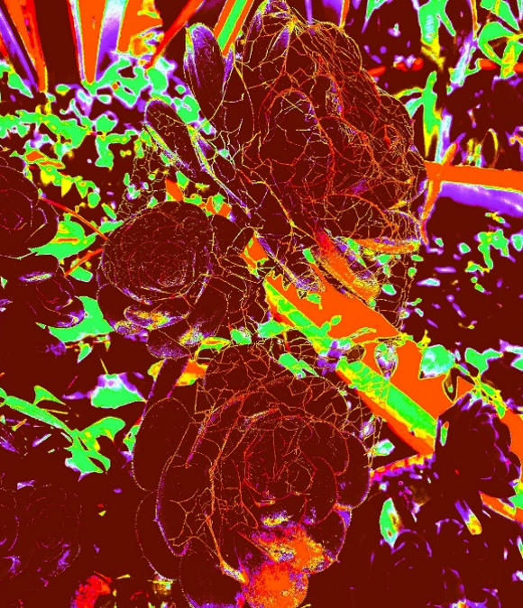 Throwing The Bridesmaid’s Flowers – A Collaboration: Texts, Spoken Word ...