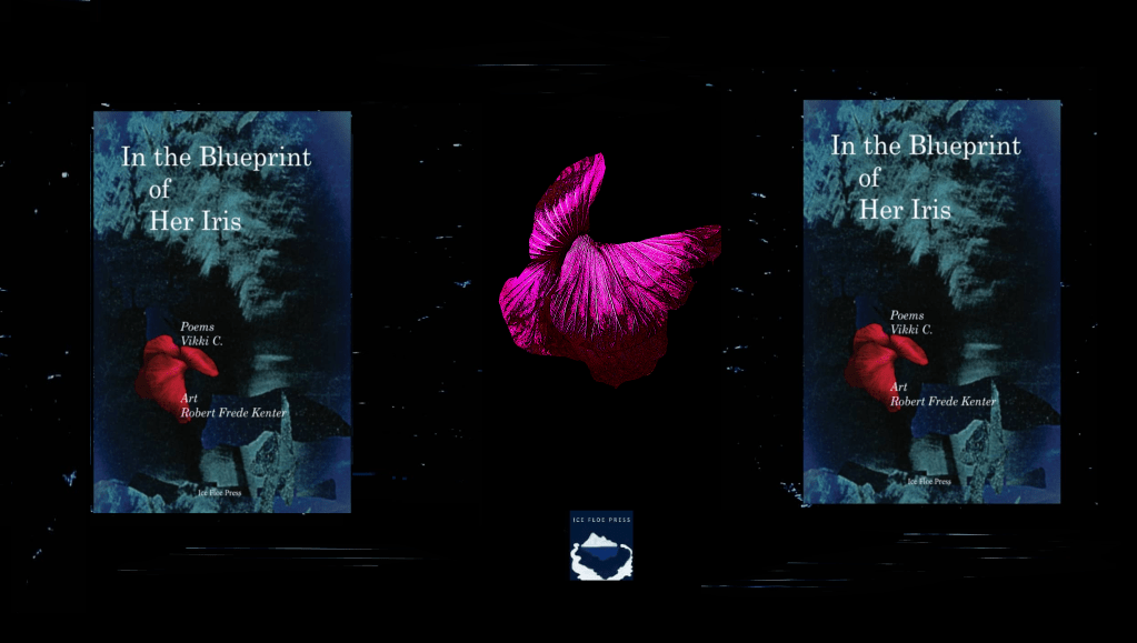 IN THE BLUEPRINT OF HER IRIS: A SALE – IceFloe Press